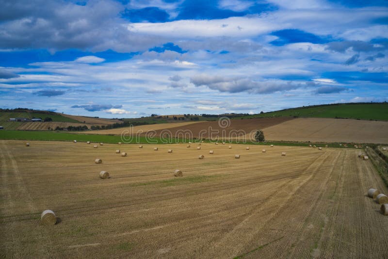 Bales of Alfalfa in the Field in Summer Stock Image - Image of ...