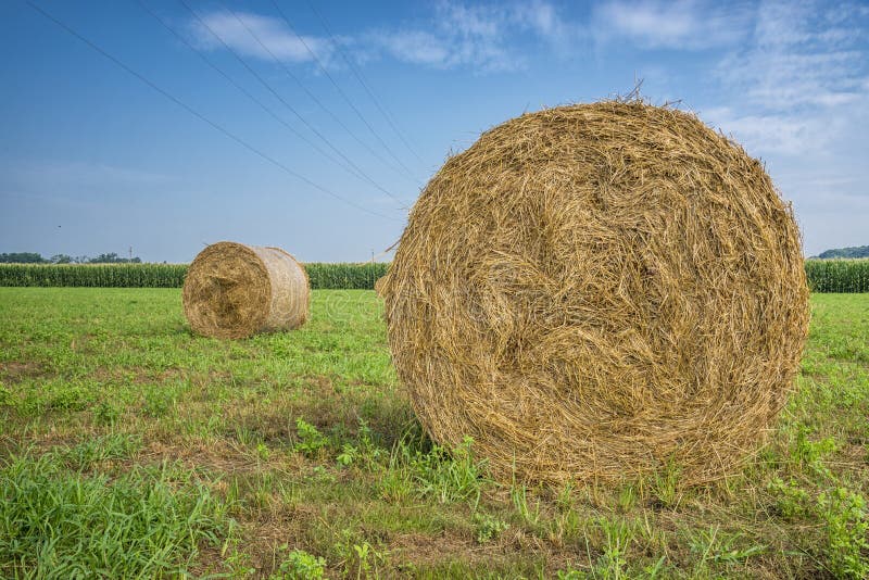 Bales stock image. Image of field, wheat, land, bales - 42781713