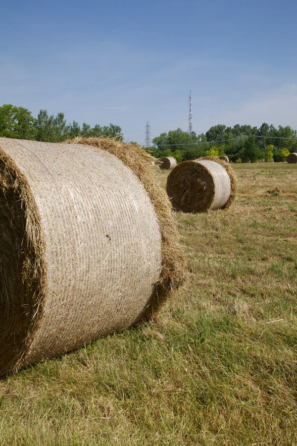 Bales in a Field in the Countryside Stock Image - Image of bristle ...
