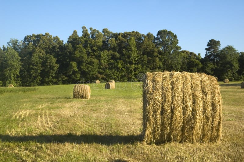 Bales of Hay stock photo. Image of country, meadow, perspective - 4213934