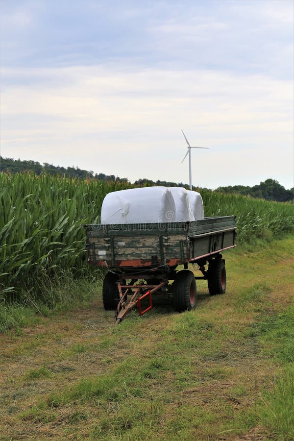 Bales of hay stock photo. Image of blue, harvest, country - 206718668