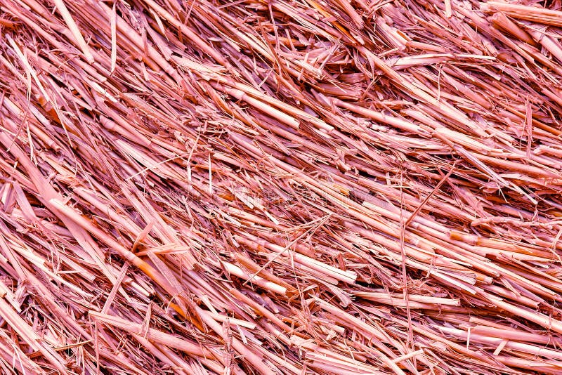 Bales of Hay on the Autumn Background Stock Image - Image of hire ...