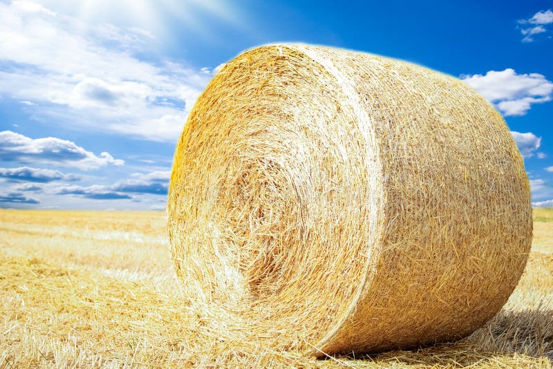 Bales of Hay on the Autumn Background Stock Photo - Image of harvest ...