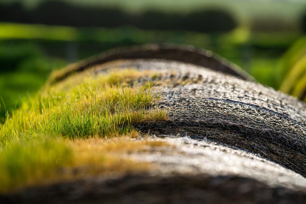 Bales of Hay. Bales of Silage Stock Photo - Image of forest, natural ...