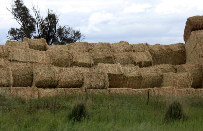 Bales of Hay Fallen Over stock image. Image of tractor - 133637681