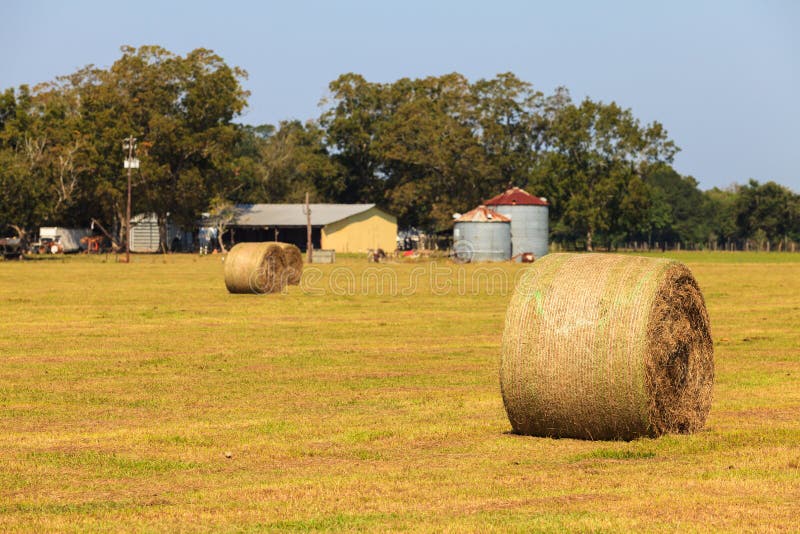 Farm life stock photo. Image of blue, crop, horizon, agricultural ...