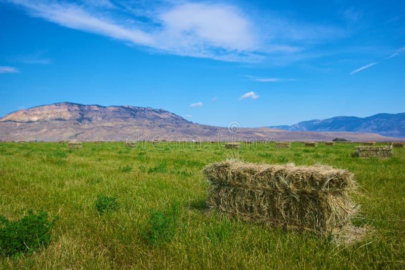 Farmland Hay is Gathered stock photo. Image of meadow - 29723558