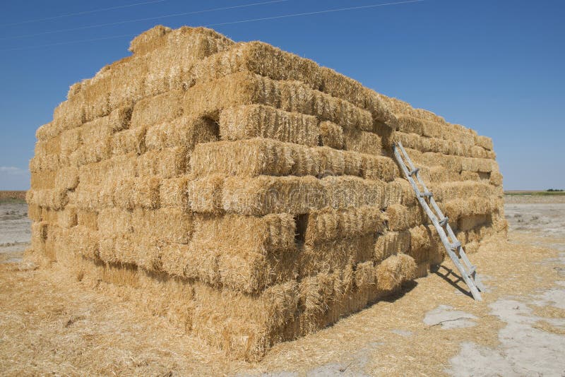 Bales of Hay Leaning Over the Ladder Stock Photo - Image of arrange ...