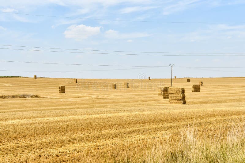 Bales of Hay, Photo As a Background Stock Photo - Image of crop, bale ...