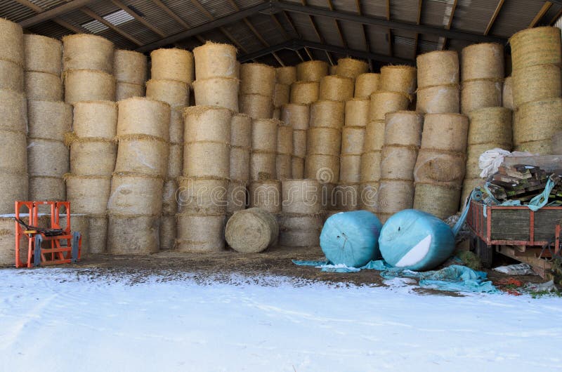 Bales of Hay Stored for Winter Stock Image - Image of cold, weather ...