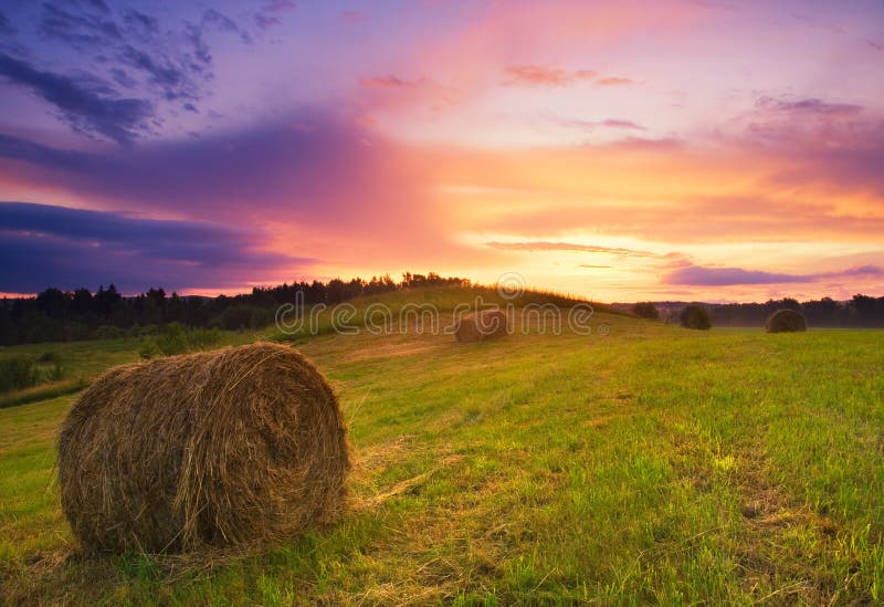 Bales of hay at sunset stock photo. Image of colors, dusk - 51296978