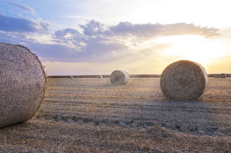 Bales of hay sunset stock image. Image of rays, stack - 63880117