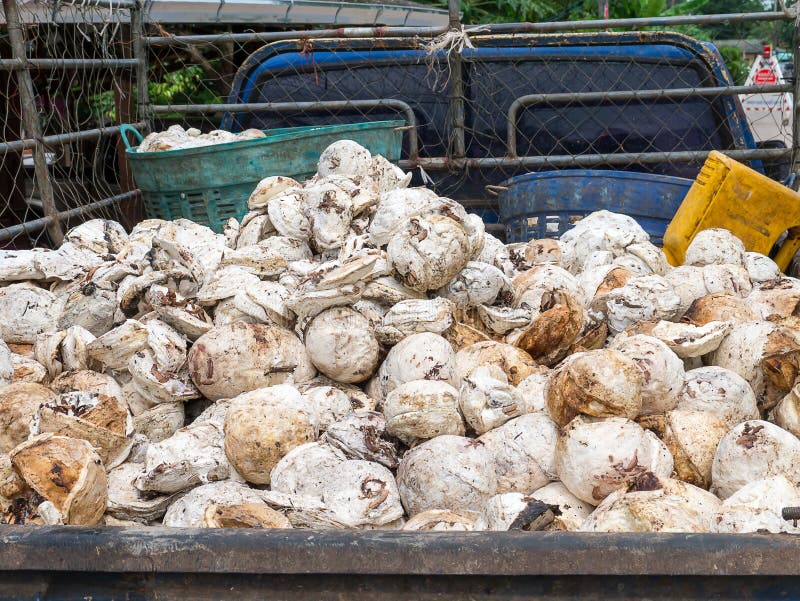 Bales of raw rubber stock photo. Image of supply, rubber - 78570990