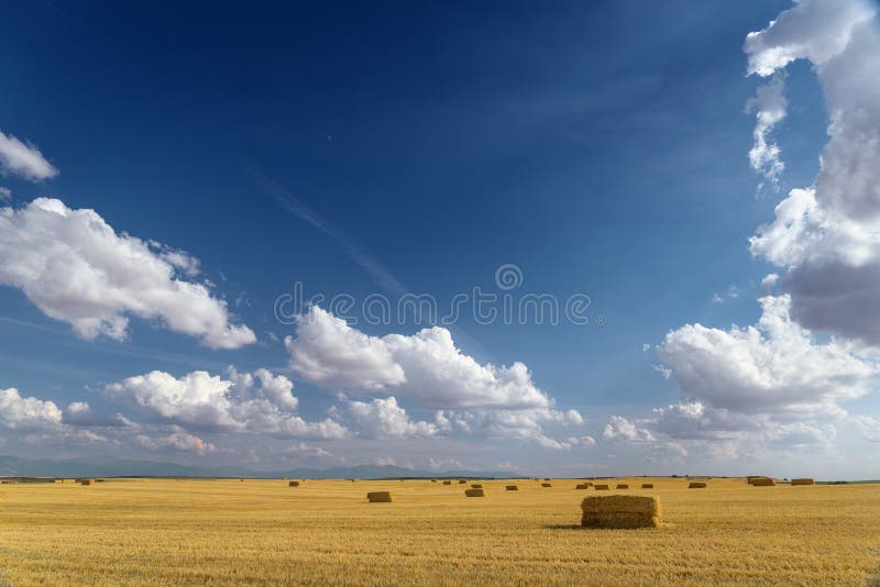Bales in spanish field stock image. Image of castilla - 177168439