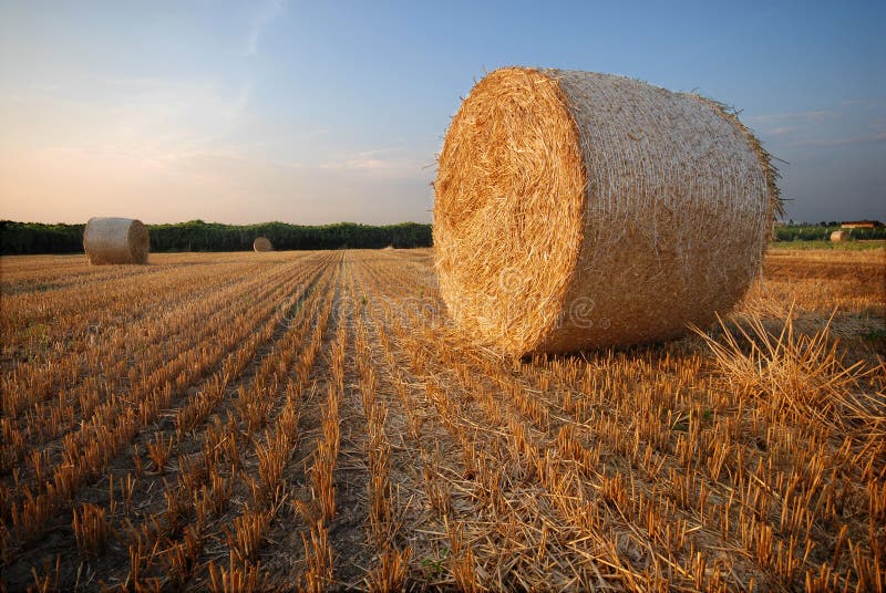 Bales of straw stock photo. Image of meadow, golden, haystack - 33162712