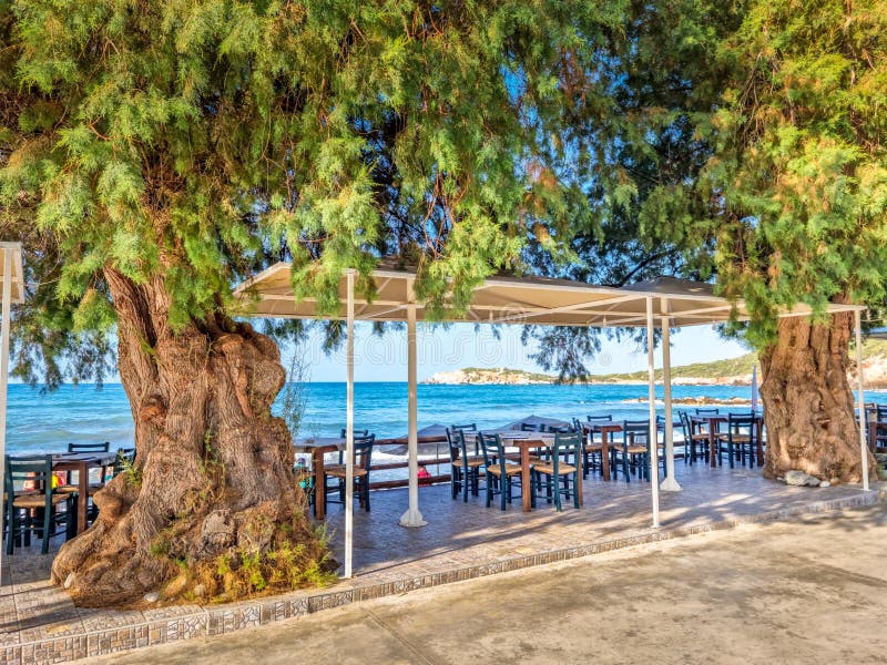 Bali beach in Crete stock photo. Image of scenic, bali - 307560440