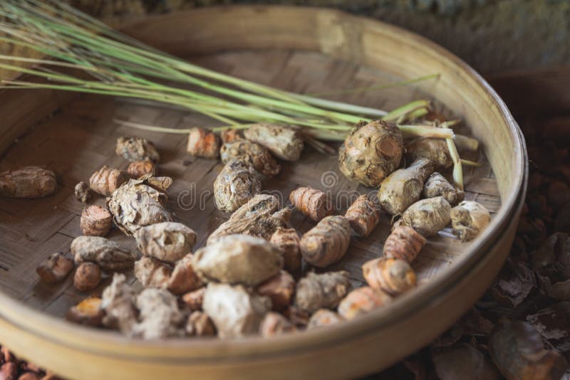 Bali Ginger Drying for Tea and Spices Stock Image - Image of asian ...