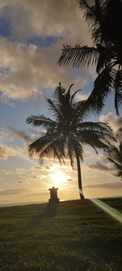 Bali Island, 11 March 2023 - Palm Trees on the Beach at Sunset in the ...