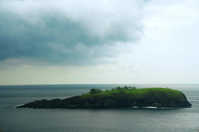 Bali Island.Misty Rainforest Landscape, Bali Island Jungle Stock Photo ...