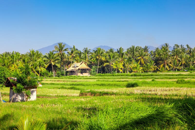 Bali scenery stock photo. Image of historical, stand - 13992984
