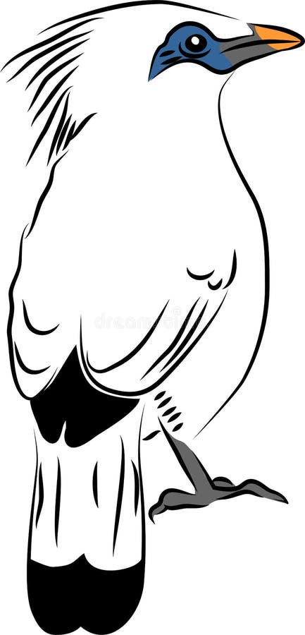 Bali Mynah Bird Head Vector Illustration Flat Style Profile Stock ...