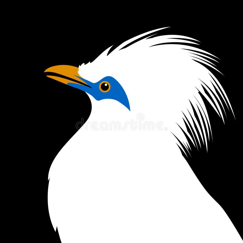 Bali Mynah Bird Head Vector Illustration Flat Style Profile Stock ...