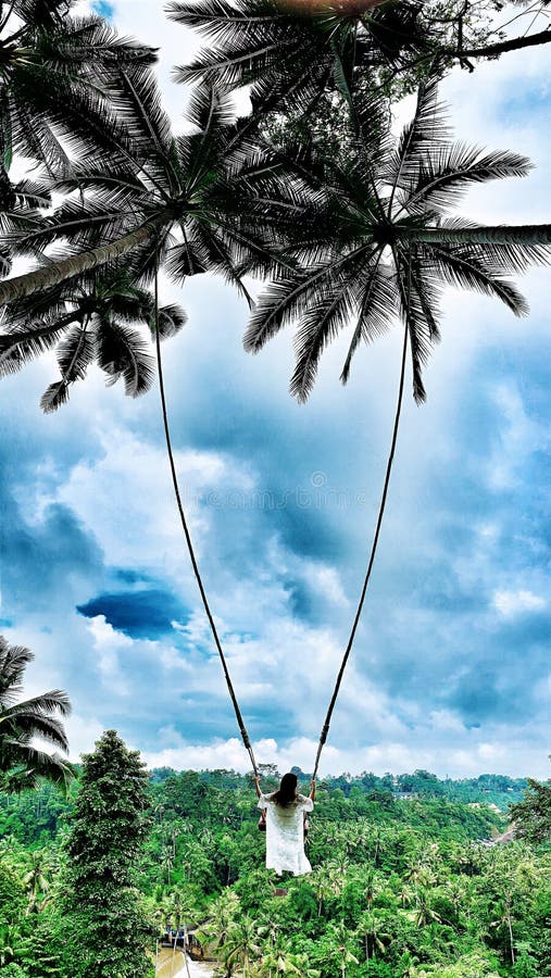 Bali stock photo. Image of cool, bali, nice, view, forest - 174982514