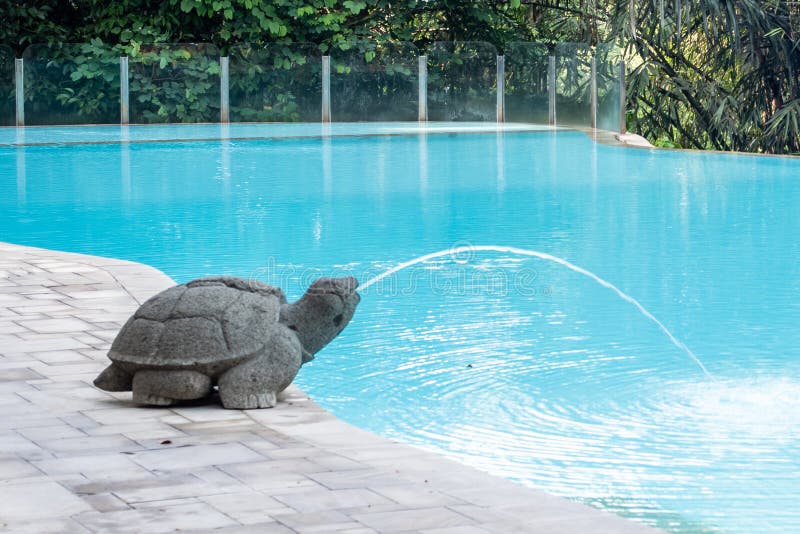 Bali Pool with Stone Turtle Stock Image - Image of homes, water: 168333929