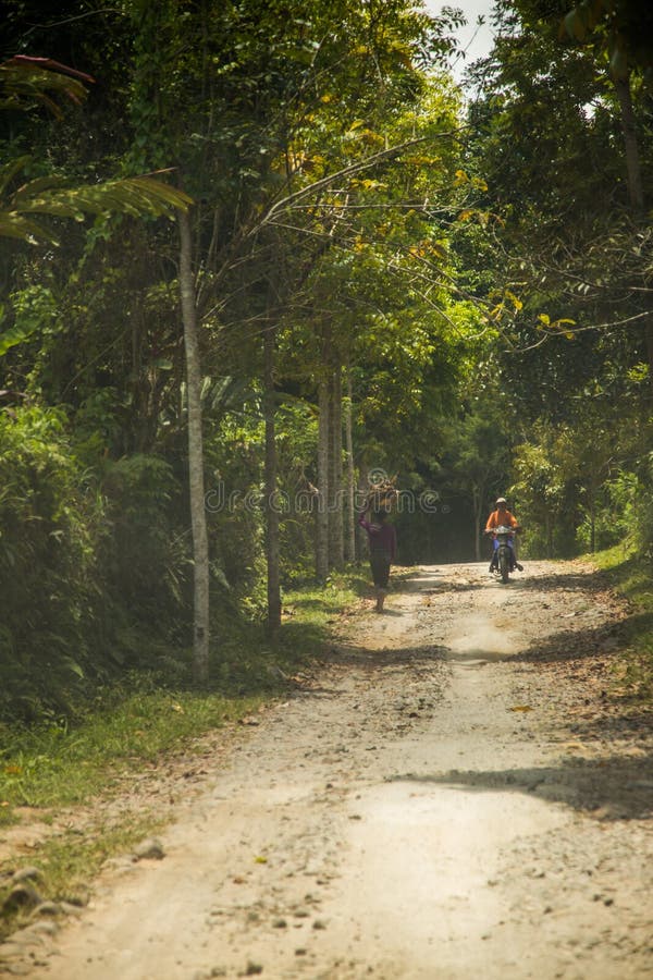 Bali road editorial stock image. Image of milk, coffee - 182154079