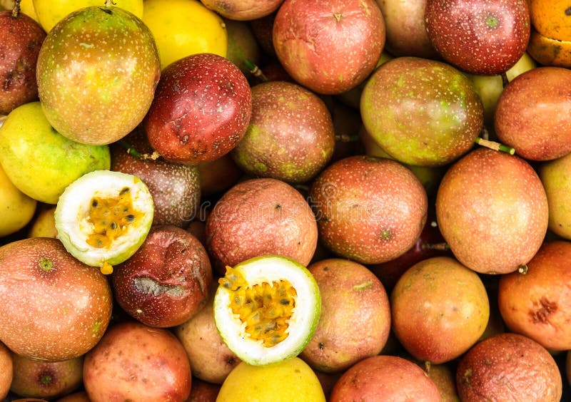The Bali s passion fruits. stock photo. Image of multi - 35602830