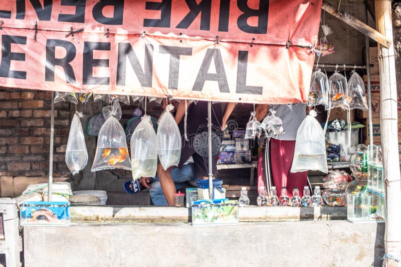 Bali Store Fronts - Assorted Editorial Image - Image of design, street ...