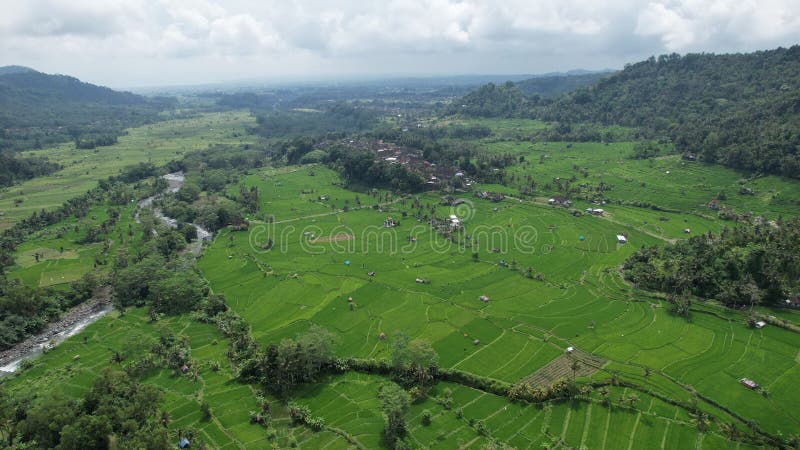 The Bali Terrace Rice Fields Stock Photo - Image of indonesia, hillside ...
