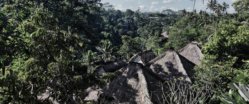 Bali Ubud View stock photo. Image of forest, geology - 248410702
