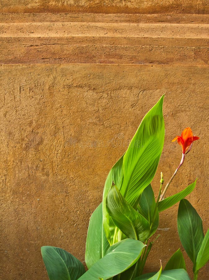 Bali wall stock image. Image of clay, flower, architect - 18526143