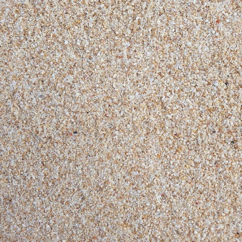 Bali White Beach Sand Grain Closeup Stock Photo - Image of white, beach ...
