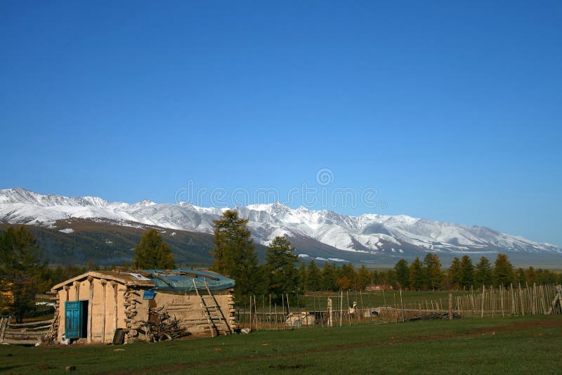 Balikun Grassland stock photo. Image of tian, tree, pine - 7423520