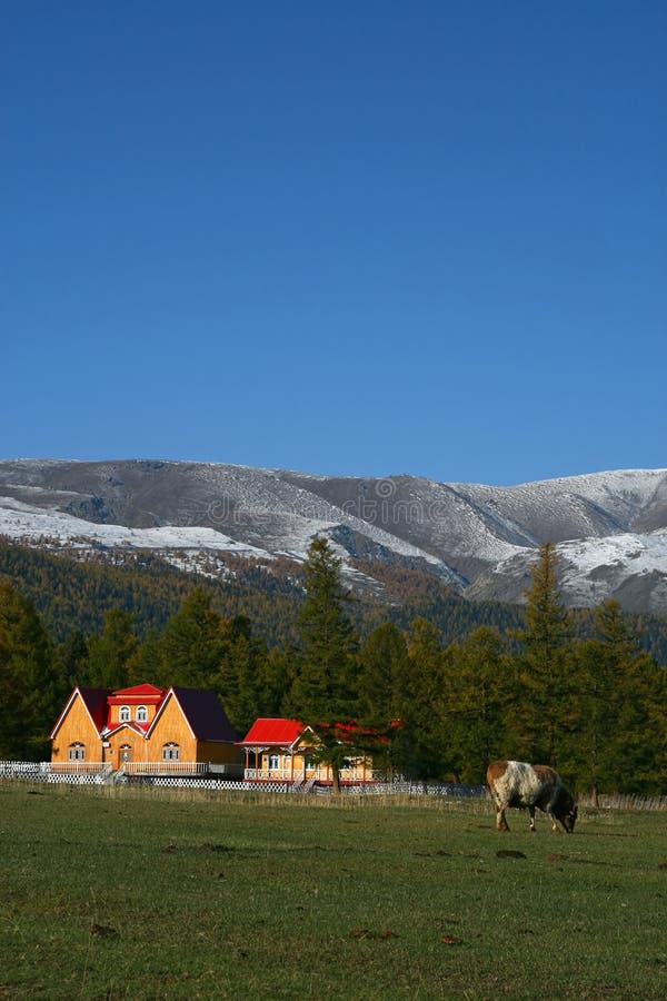 Balikun Grassland stock photo. Image of china, shadow - 7423534