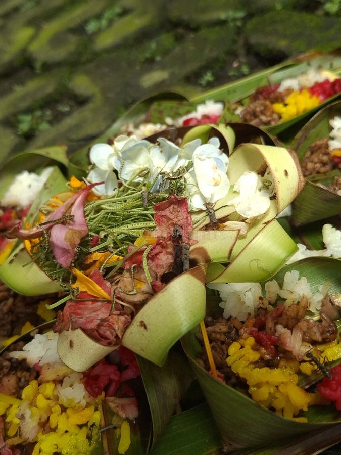 Balinese Cultural Prayers stock photo. Image of prayer - 371161340