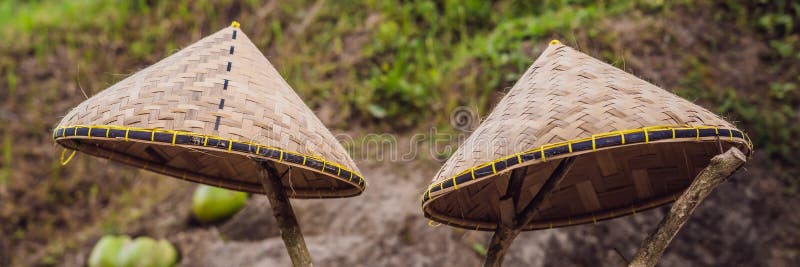 Balinese Traditional Straw Hat in Rice Field BANNER, Long Format Stock ...