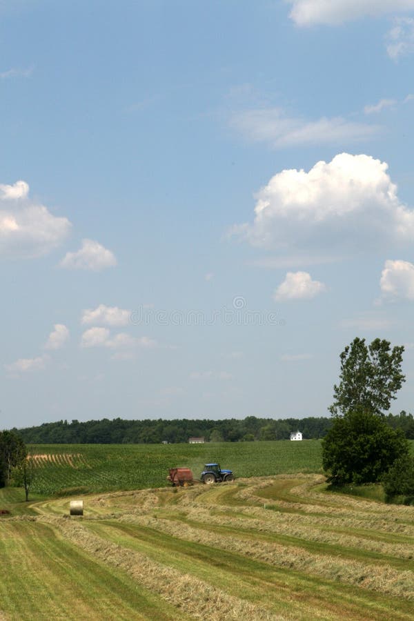 Baling Hay Picture. Image: 5515876
