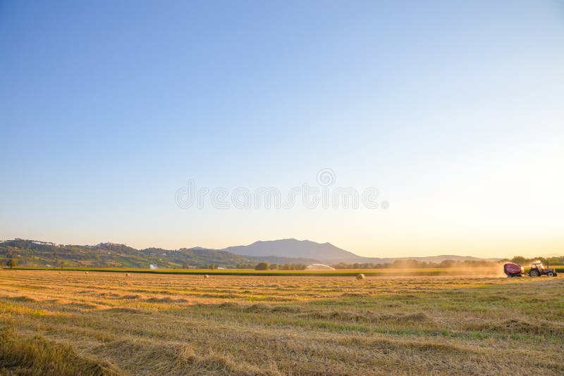 Baling hay stock image. Image of bale, roll, field, feed - 177154385