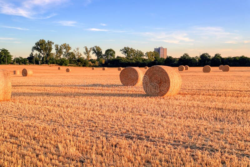 Growing, Harvesting and Baling Your Own Hay Stock Image - Image of ...