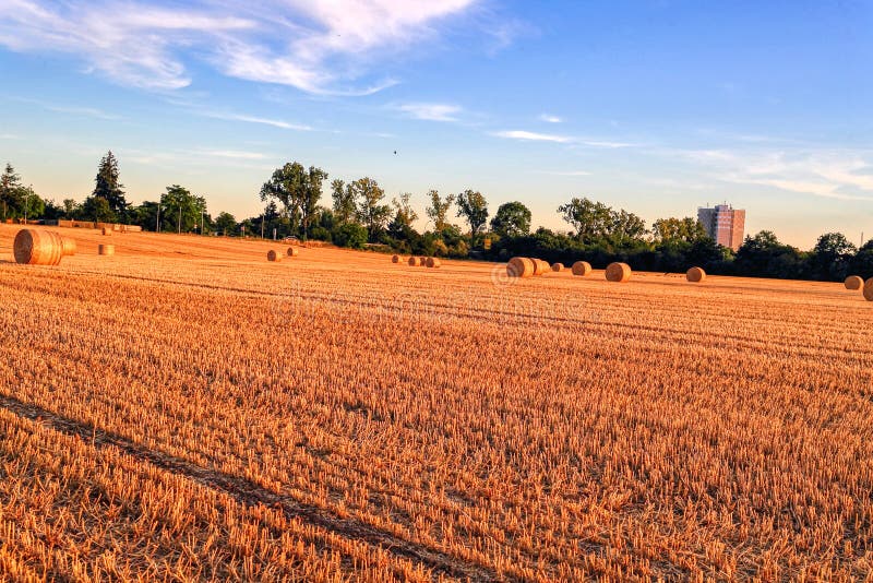 Growing, Harvesting and Baling Your Own Hay Stock Image - Image of ...