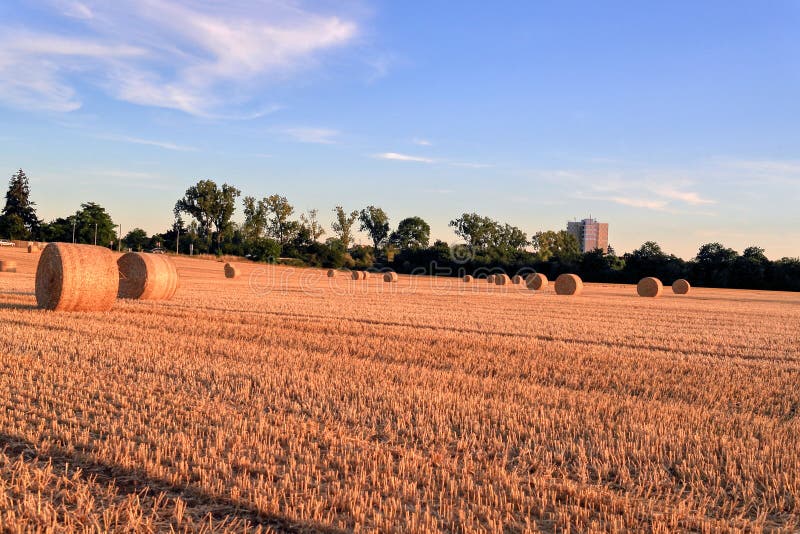 Growing, Harvesting and Baling Your Own Hay Stock Image - Image of farm ...
