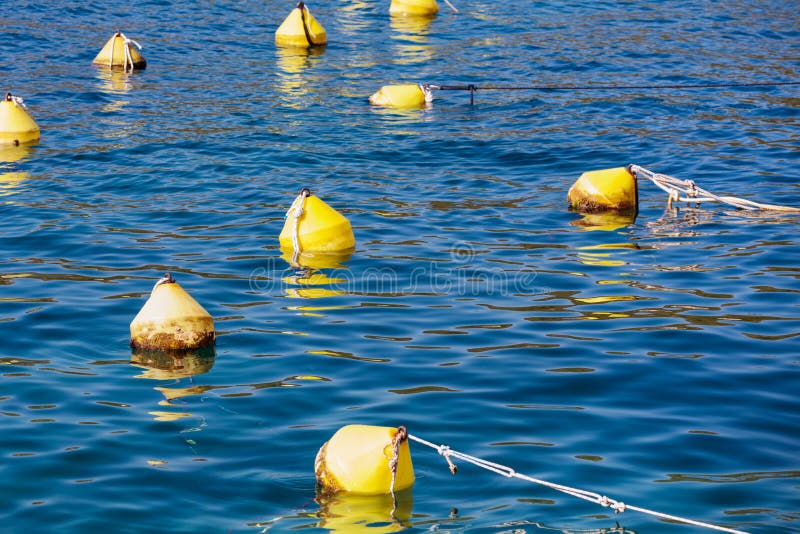 La Balise Rouge D'ancre Se Trouve Sur Une Surface De Mer Photo stock ...