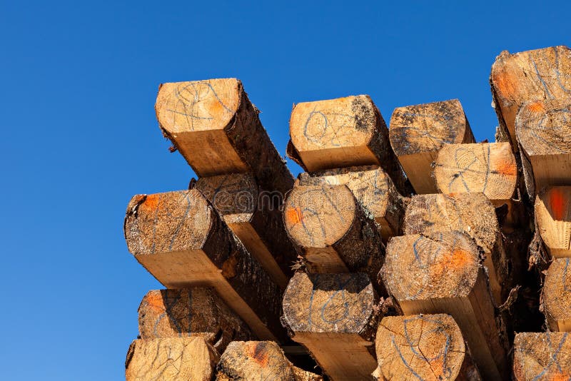 Balk stock image. Image of boards, forest, design, logging - 45101345