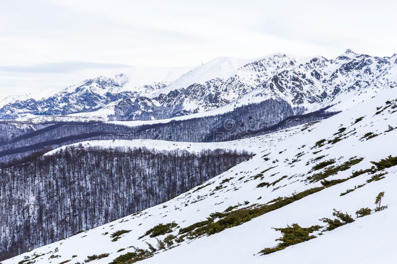 Balkan Mountains trees stock photo. Image of glacier - 66369118