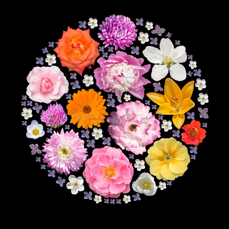 Round Circle Photo Collage Made from Summer Herbal Products. Stock ...