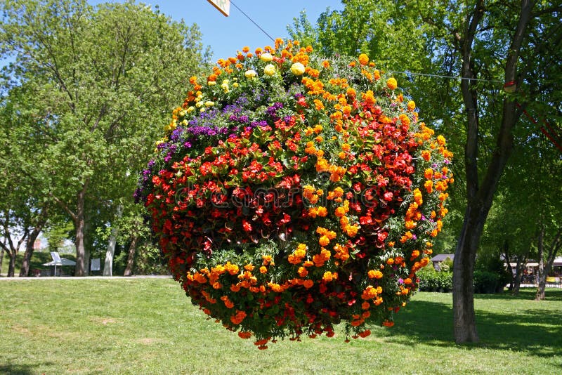 Ball of flowers stock image. Image of natural, flower - 145421327