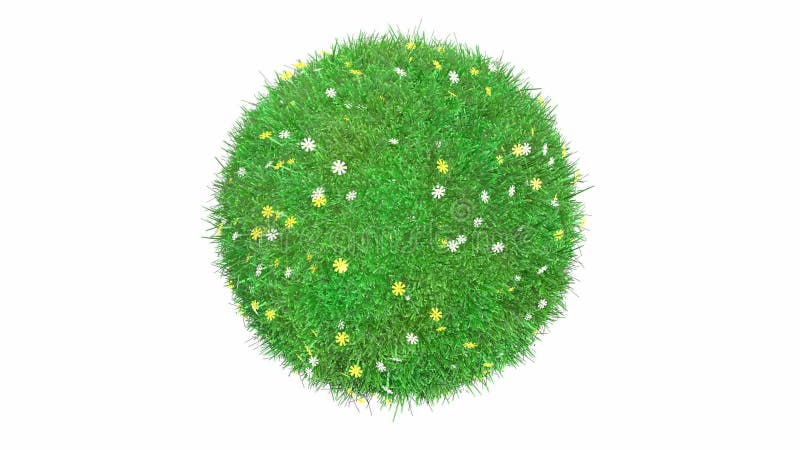 Ball of Grass and Small Flowers Stock Footage - Video of lawn, ball ...